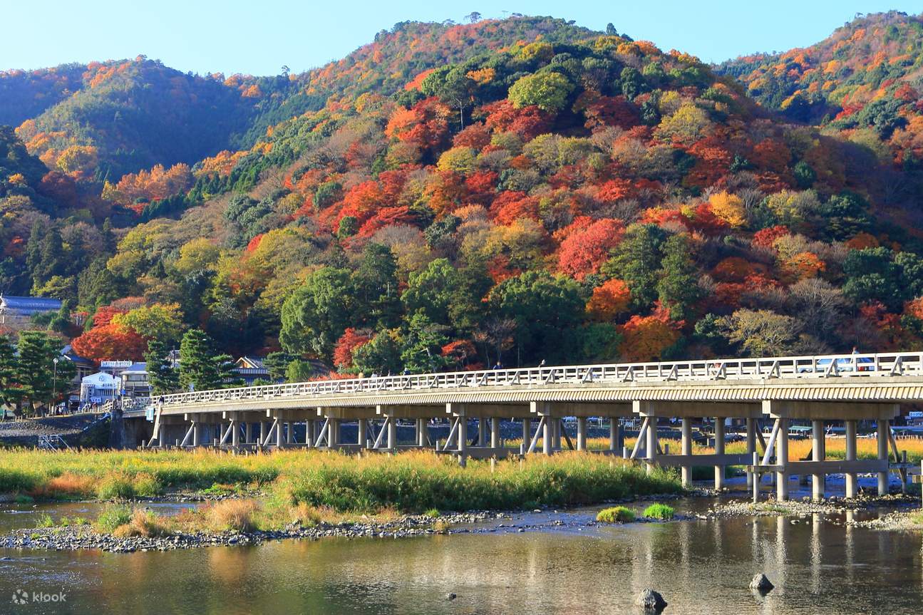 [Kyoto, Nara, Arashiyama Train Cherry Blossoms One Day Tour] Hotel pick ...